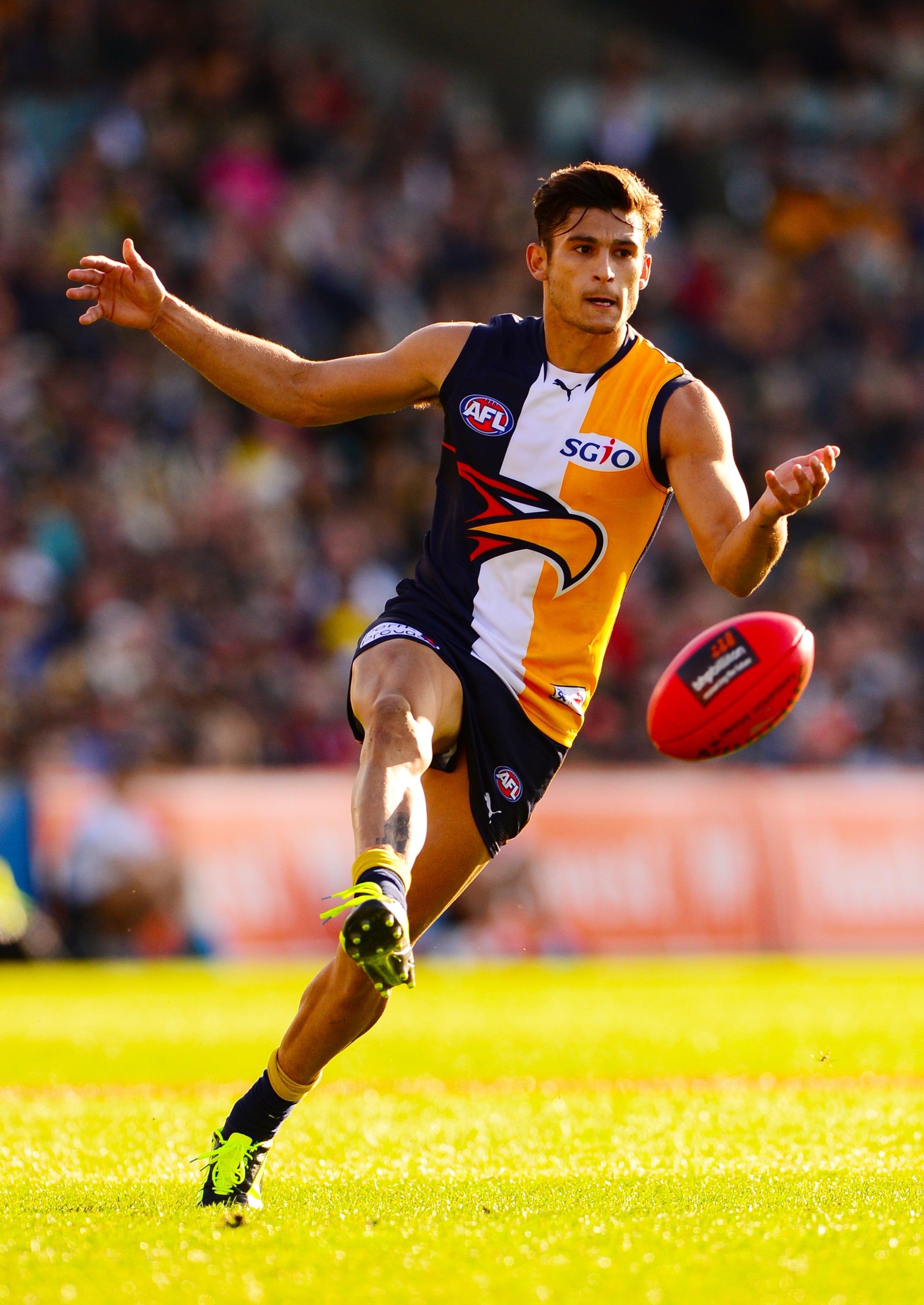 Wellingham stars for West Coast