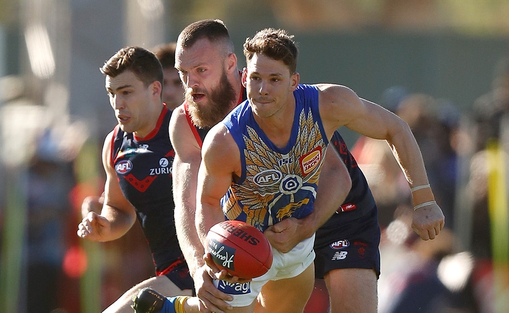 Match preview: Eagles v Demons