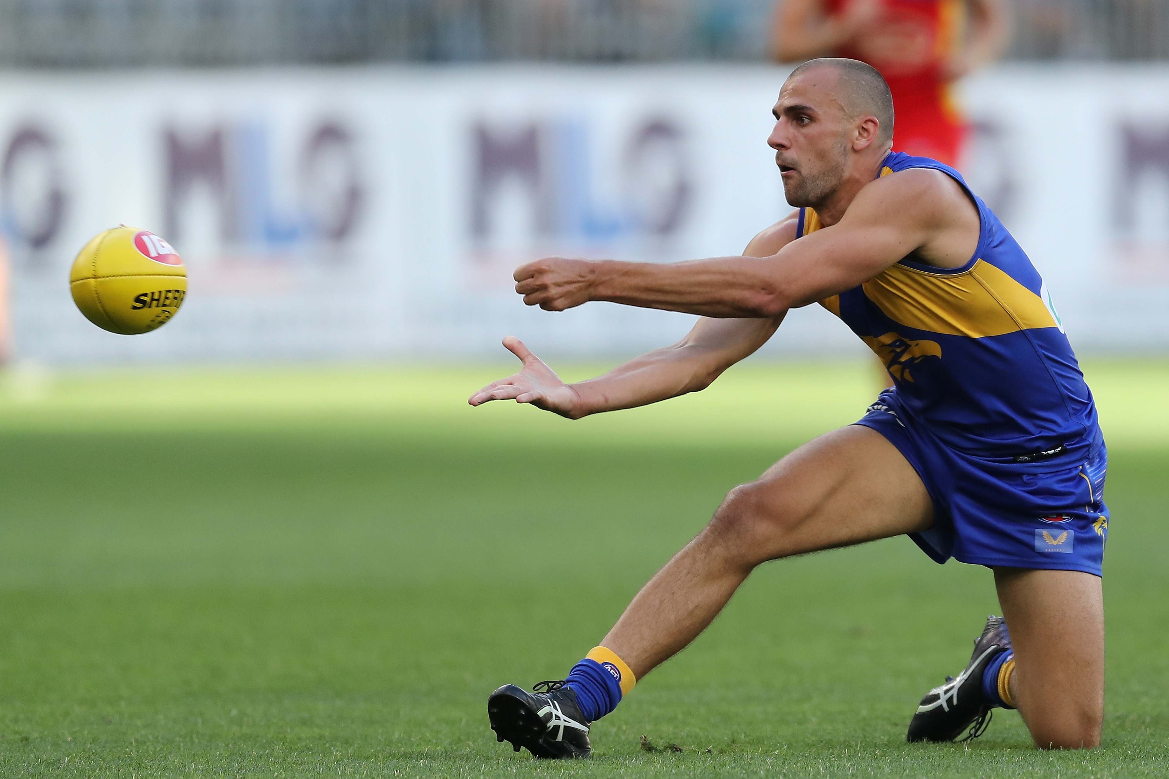 Best Eagle afield: Dom Sheed