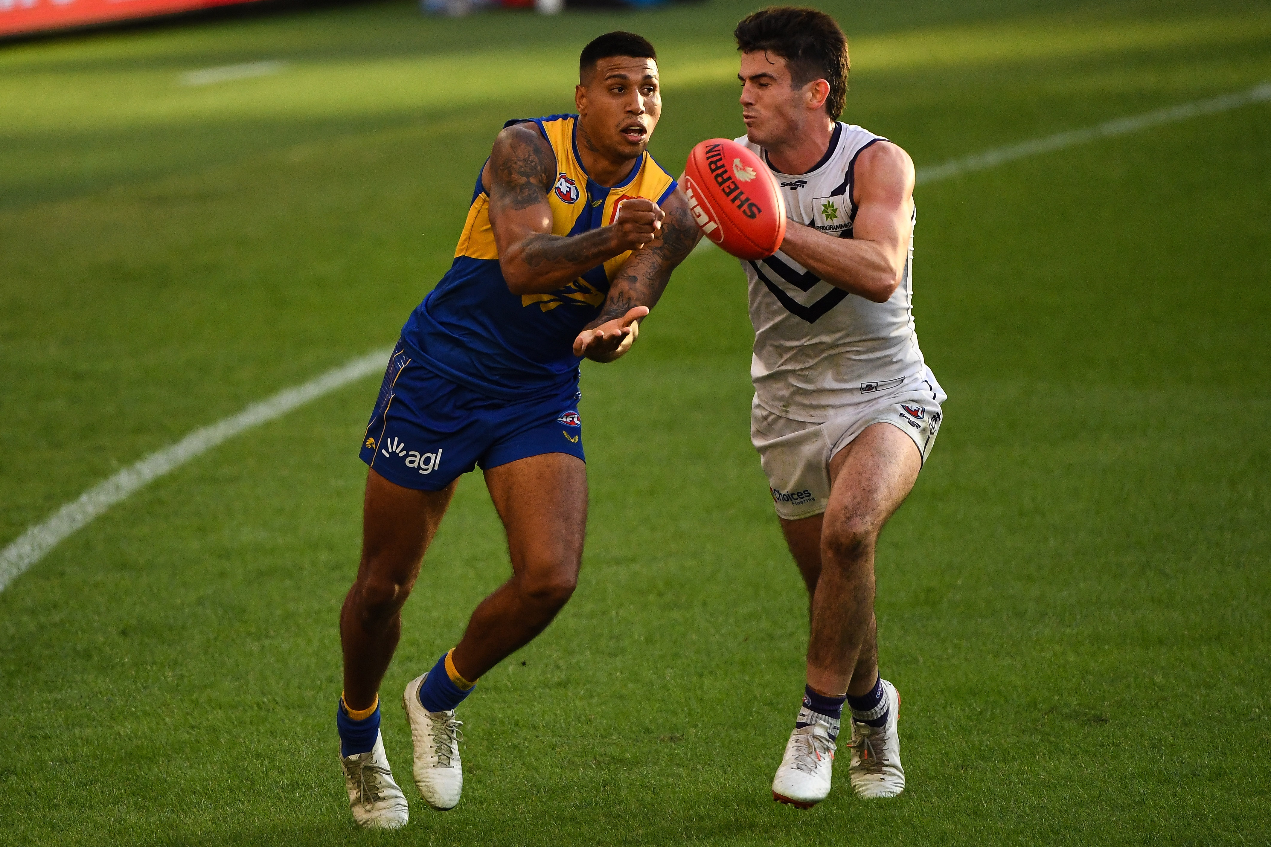 Best Eagle afield: Tim Kelly