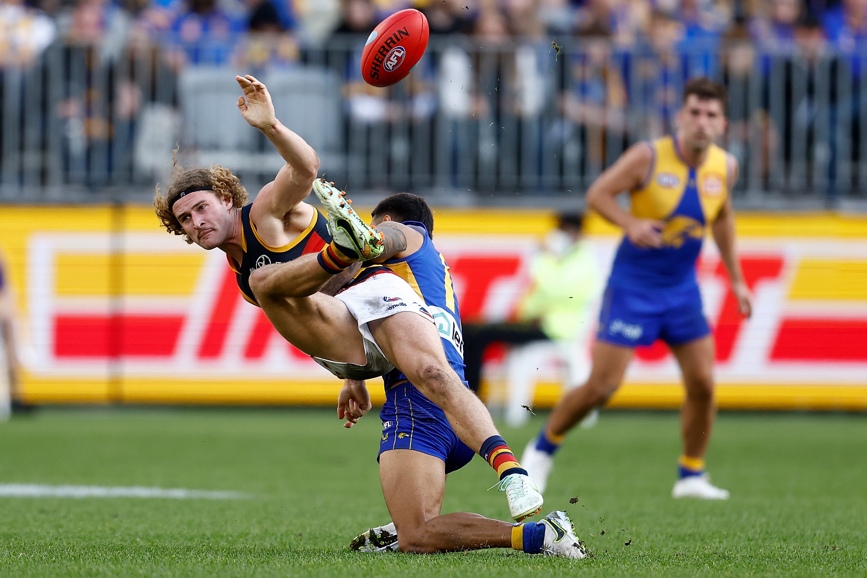 Tim Kelly AFL Tribunal verdict