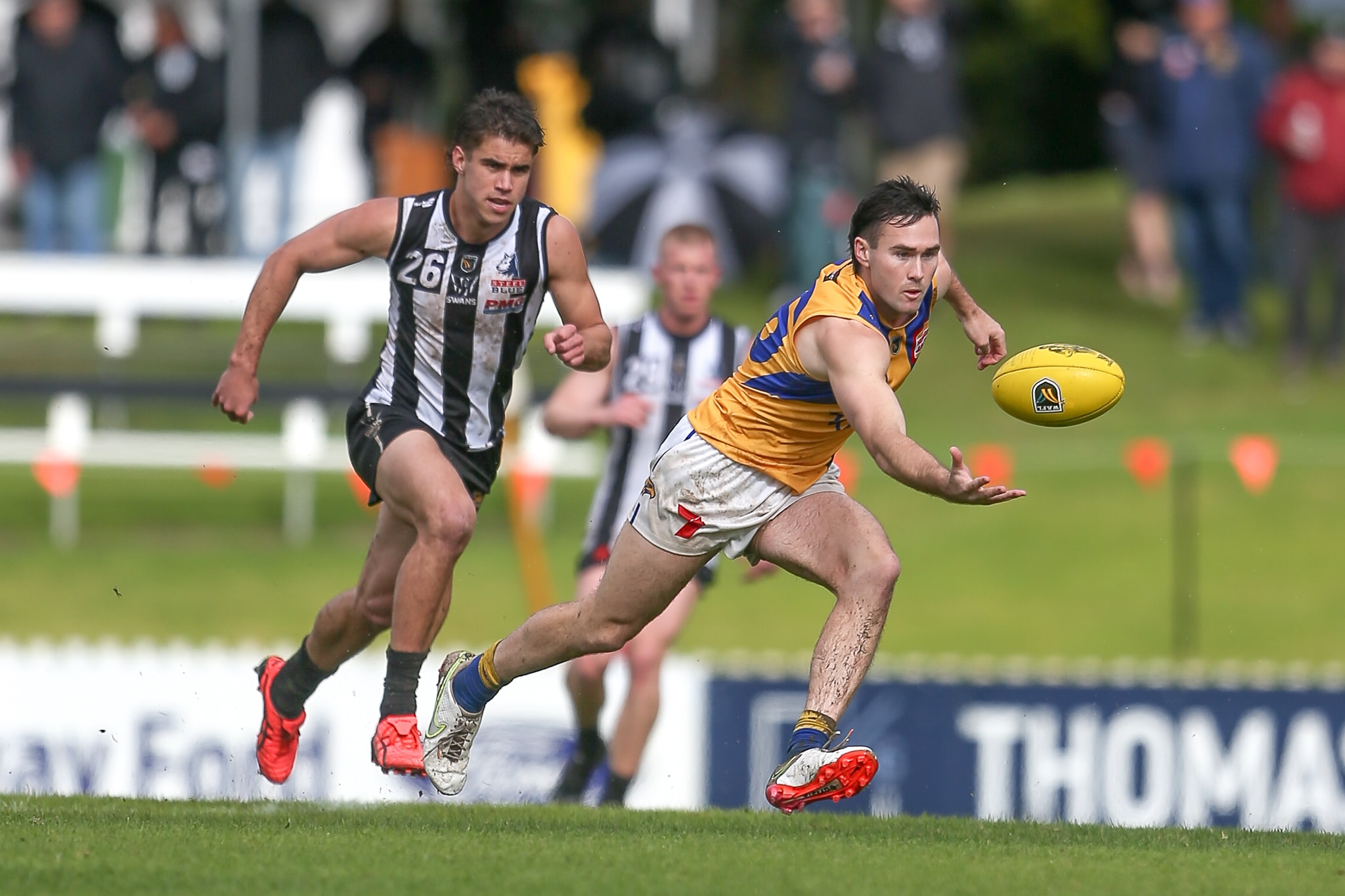 WAFL recap: round 17 review