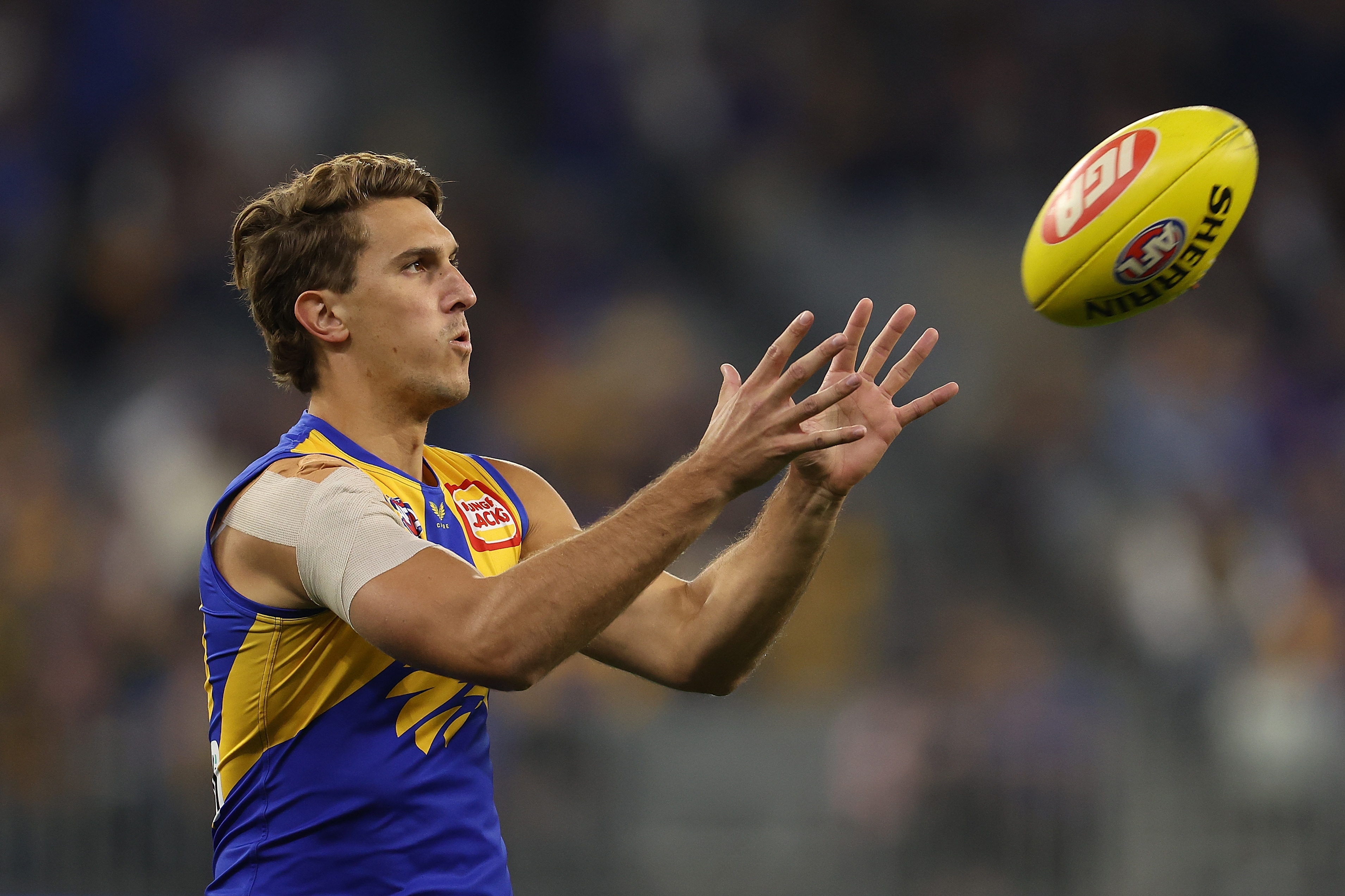 WAFL team selection: Eagles ready for final clash