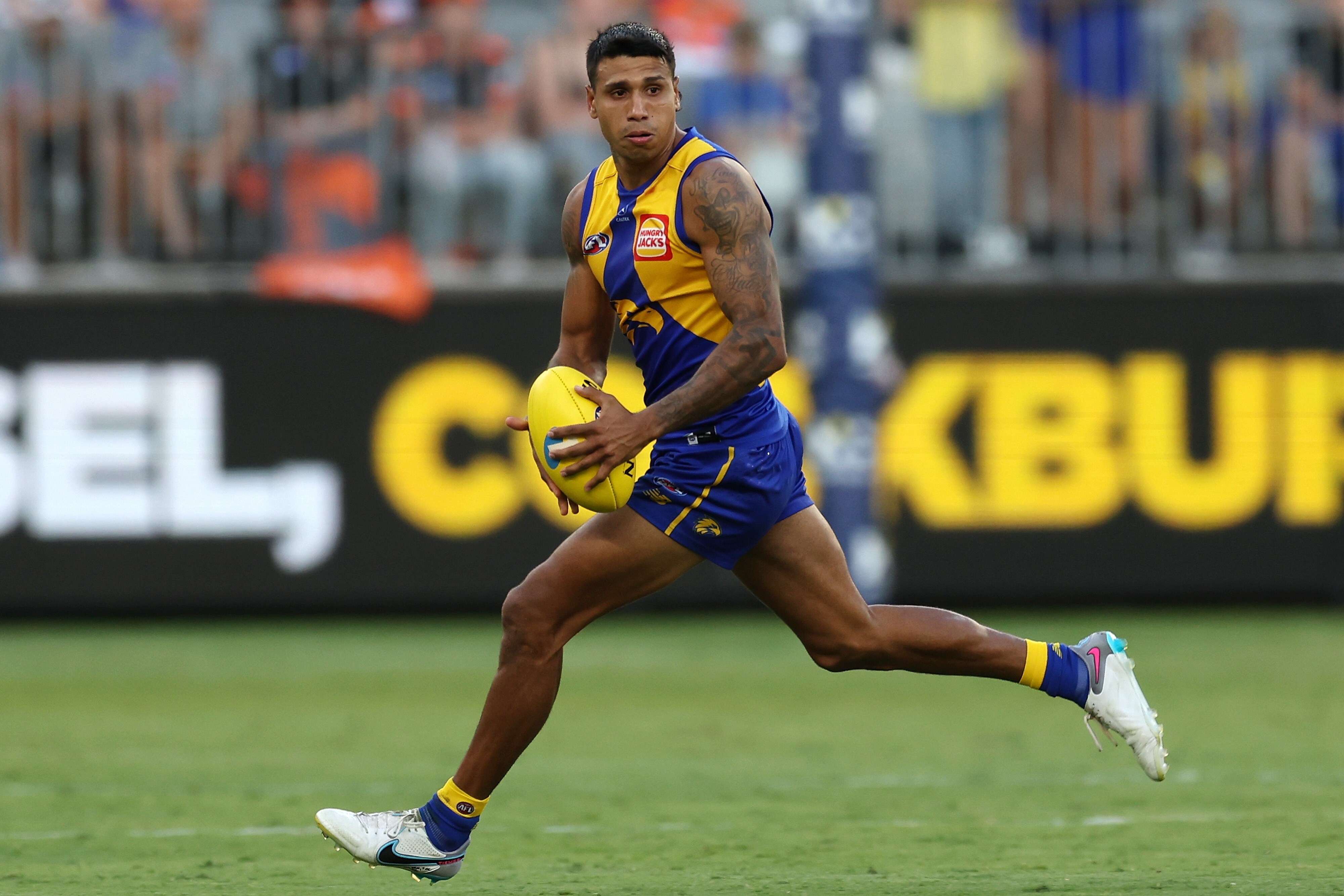 Best Eagle afield: Tim Kelly