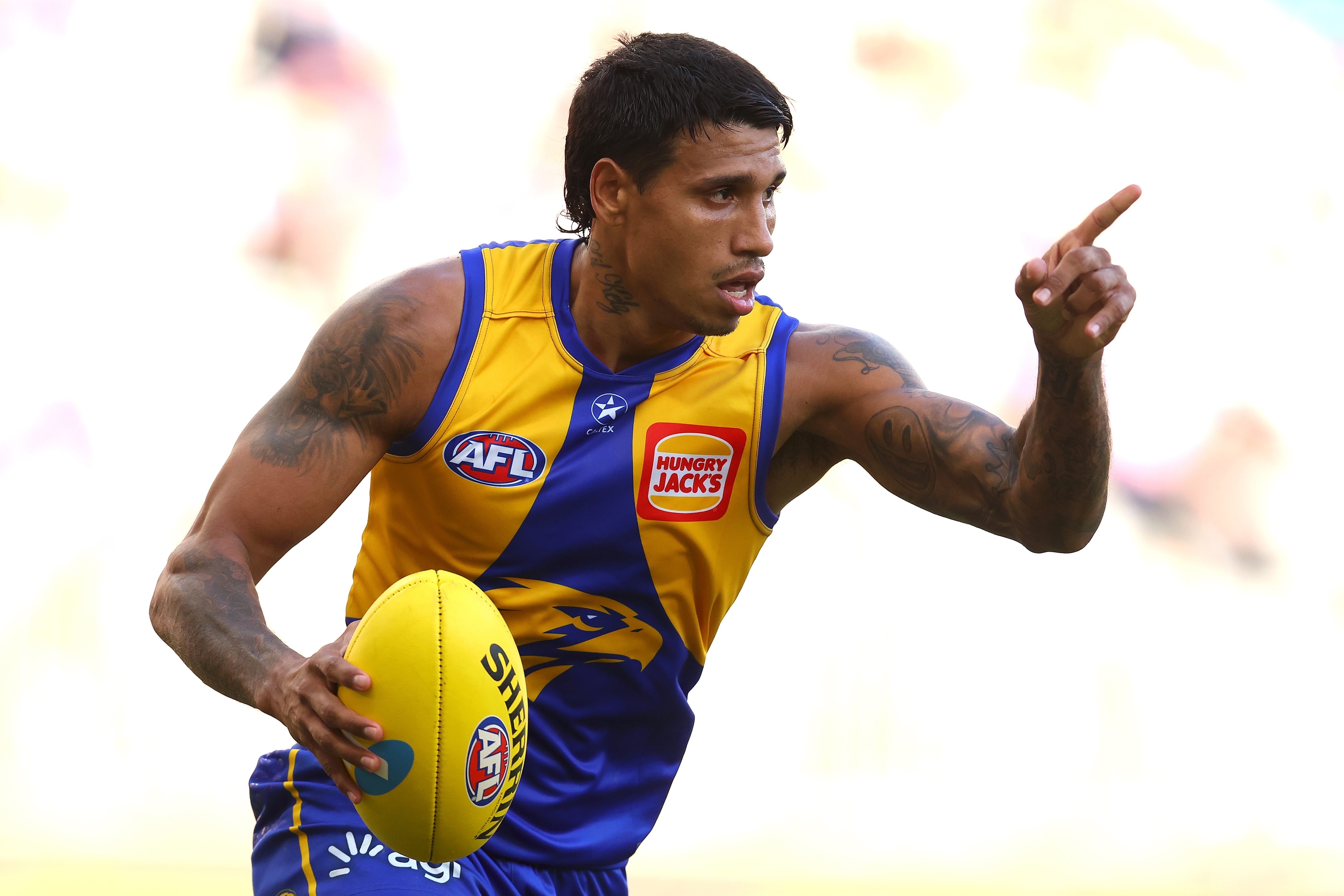 Best Eagle afield: Tim Kelly