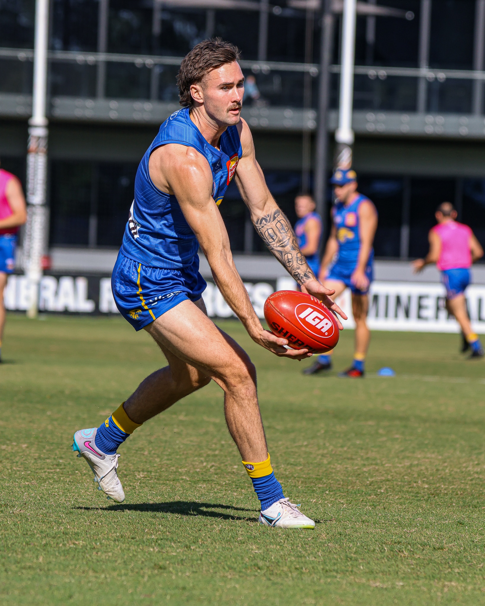 WAFL match report: Eagles taken down by Tigers