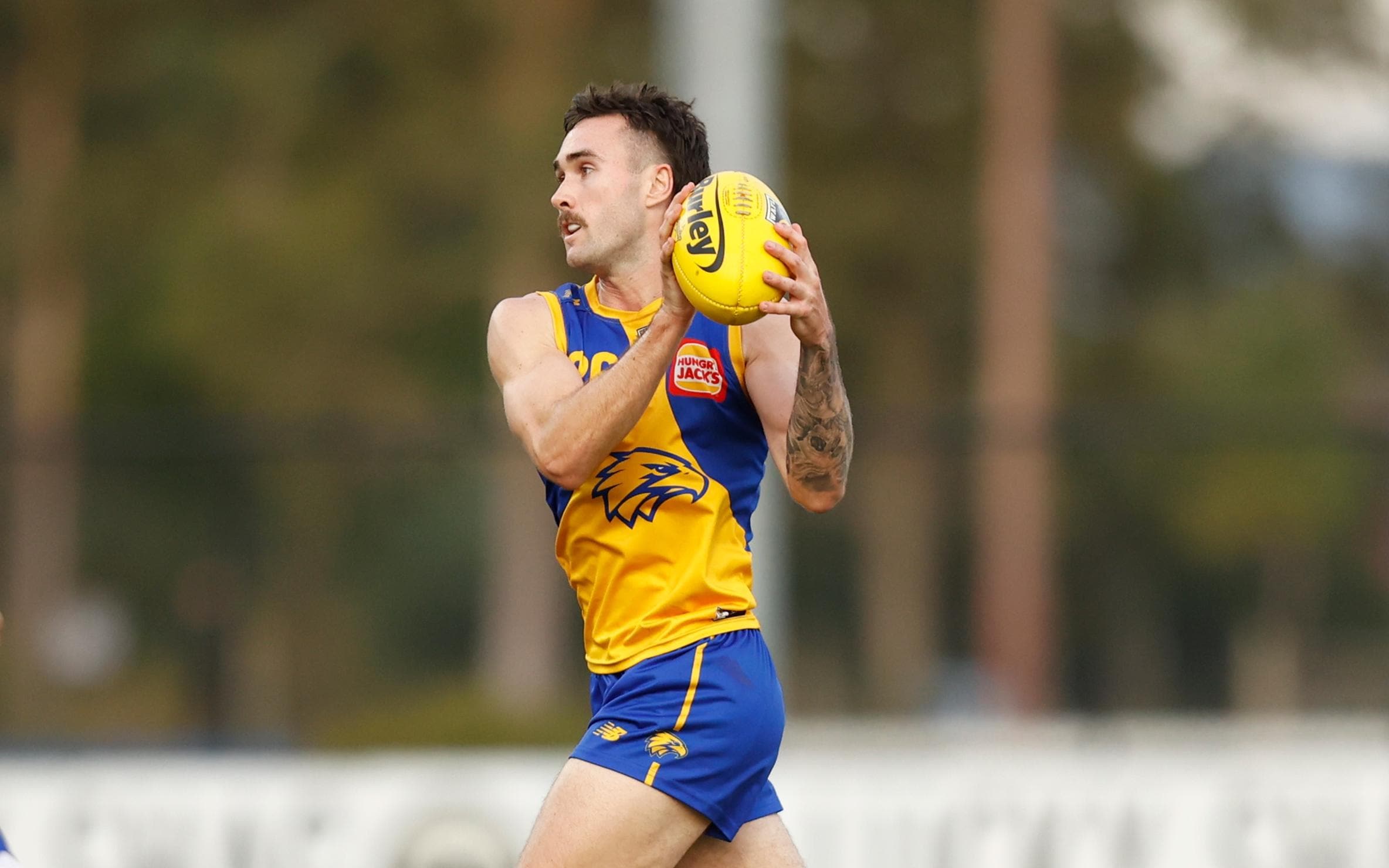 WAFL Match Report: Eagles outrun by young Bulldogs