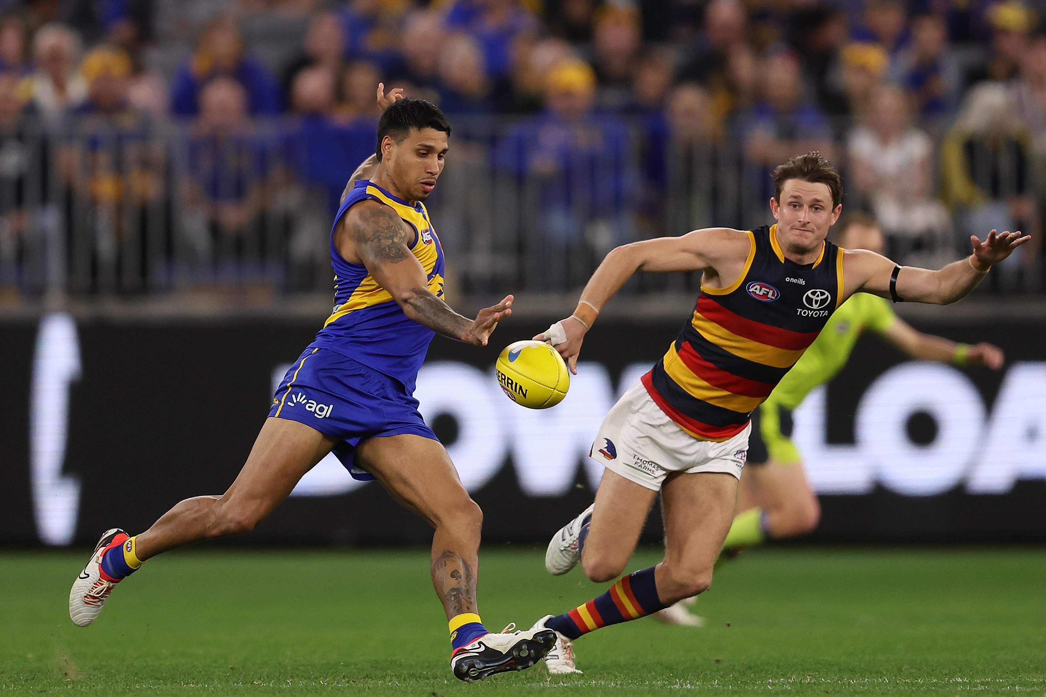 Best Eagle afield: Tim Kelly