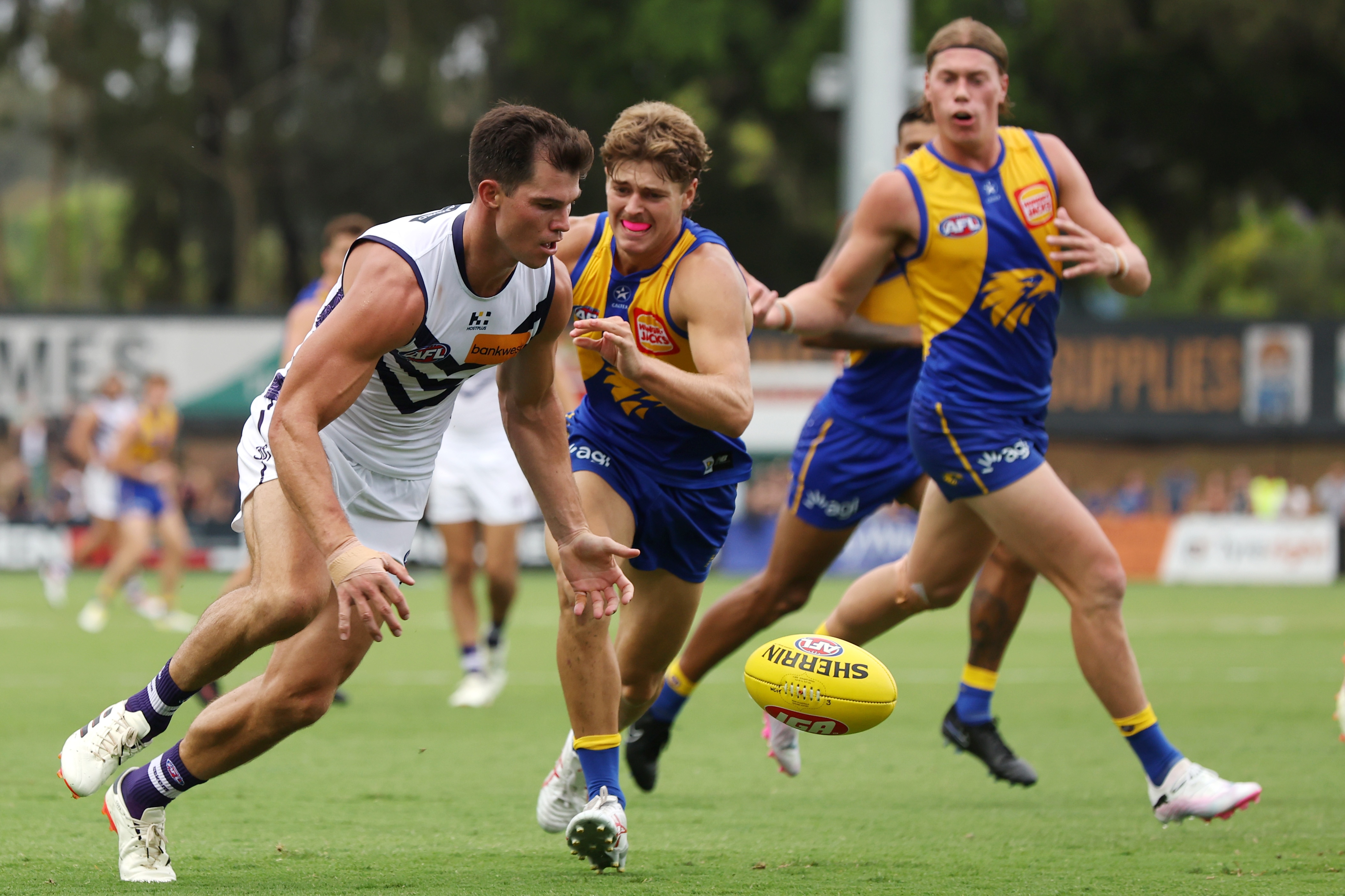 Positives in Eagles defeat to Dockers