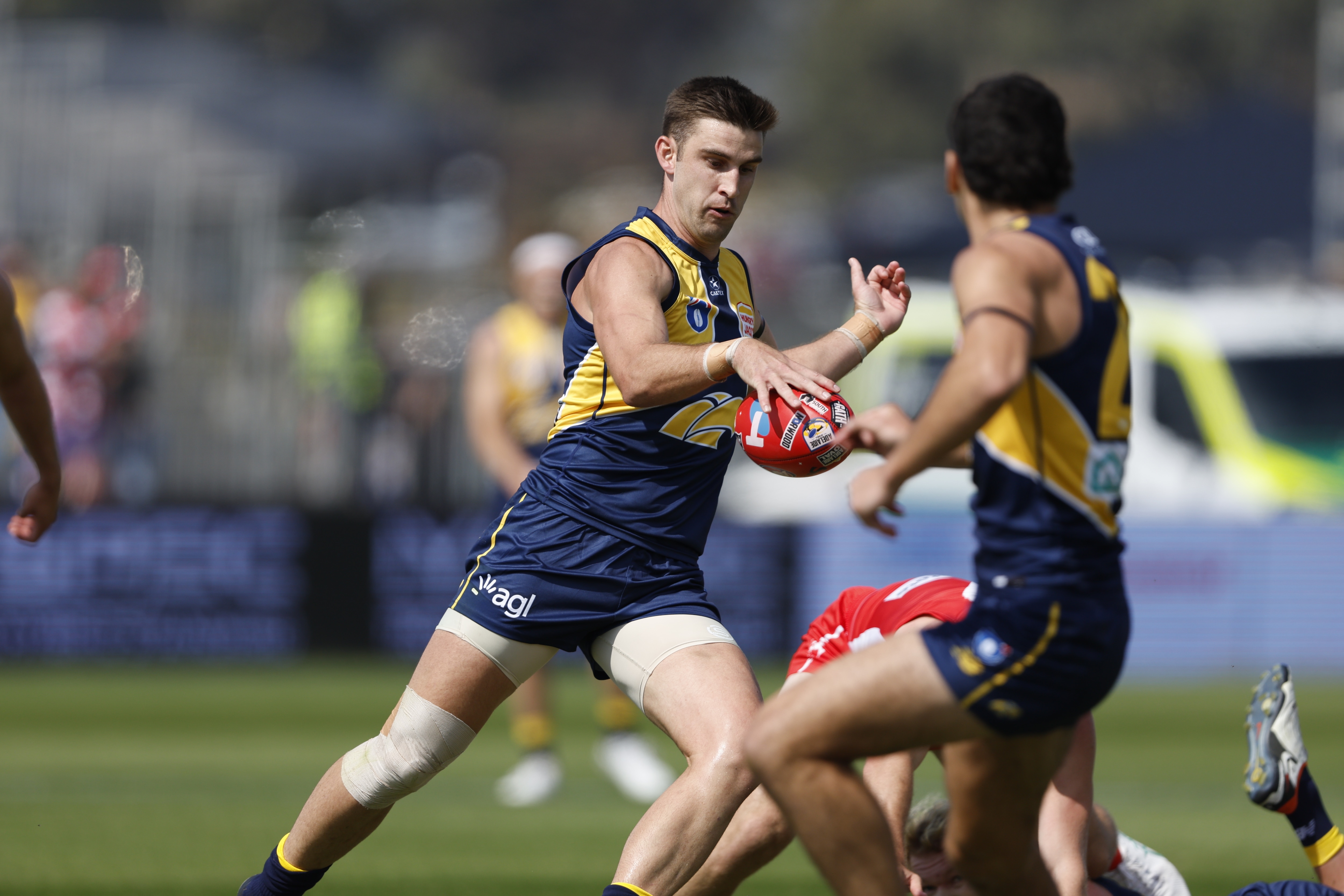 Best Eagle afield: Elliot Yeo