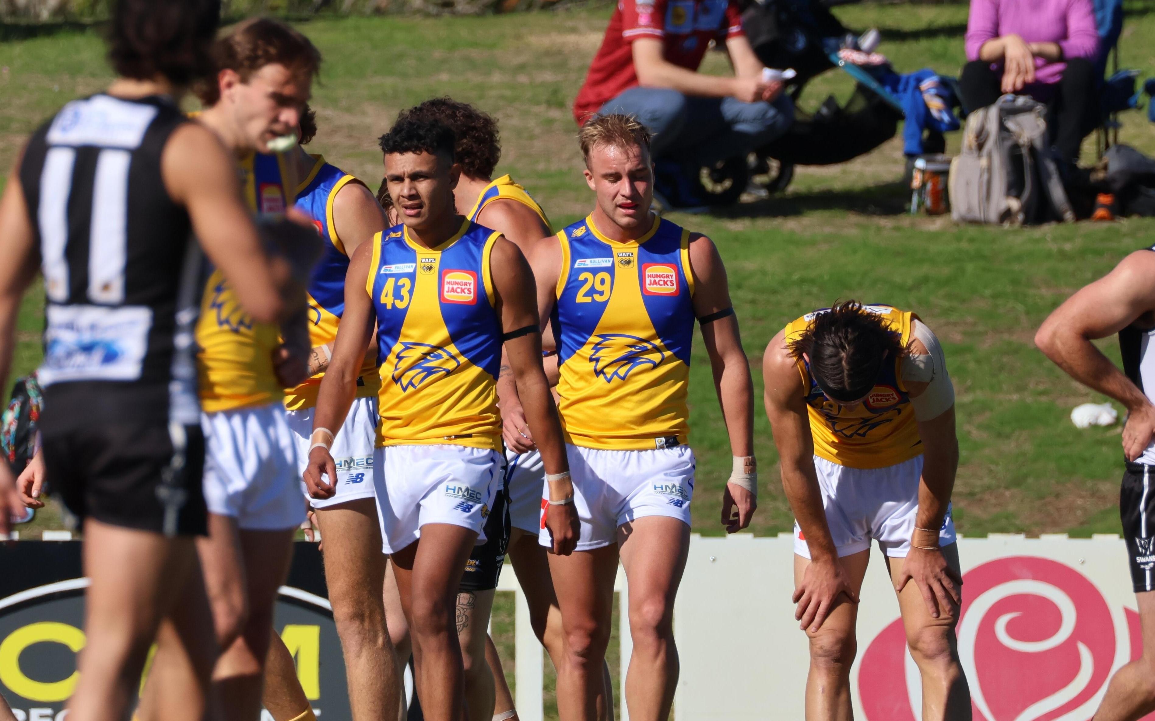 WAFL Match Report: Eagles’ fourth-quarter fightback falls short to the ...