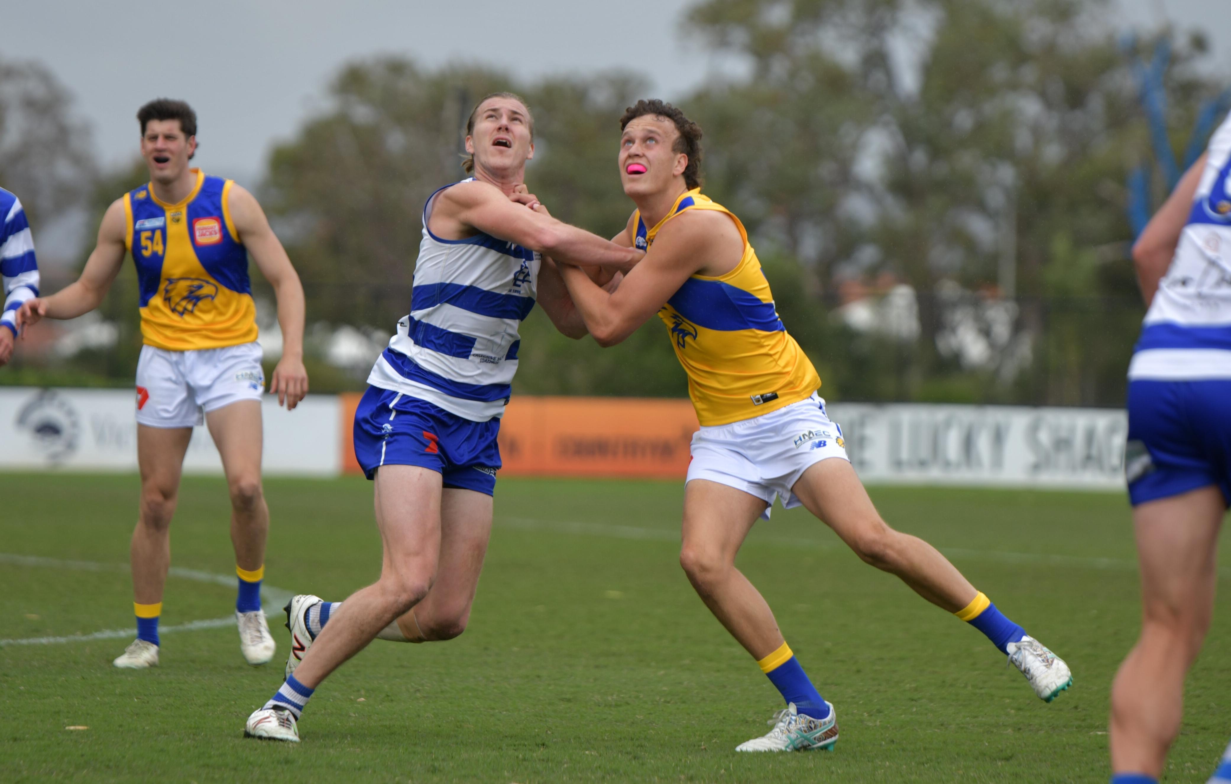 WAFL Match Report: Sharks end Eagles' season with sizeable defeat