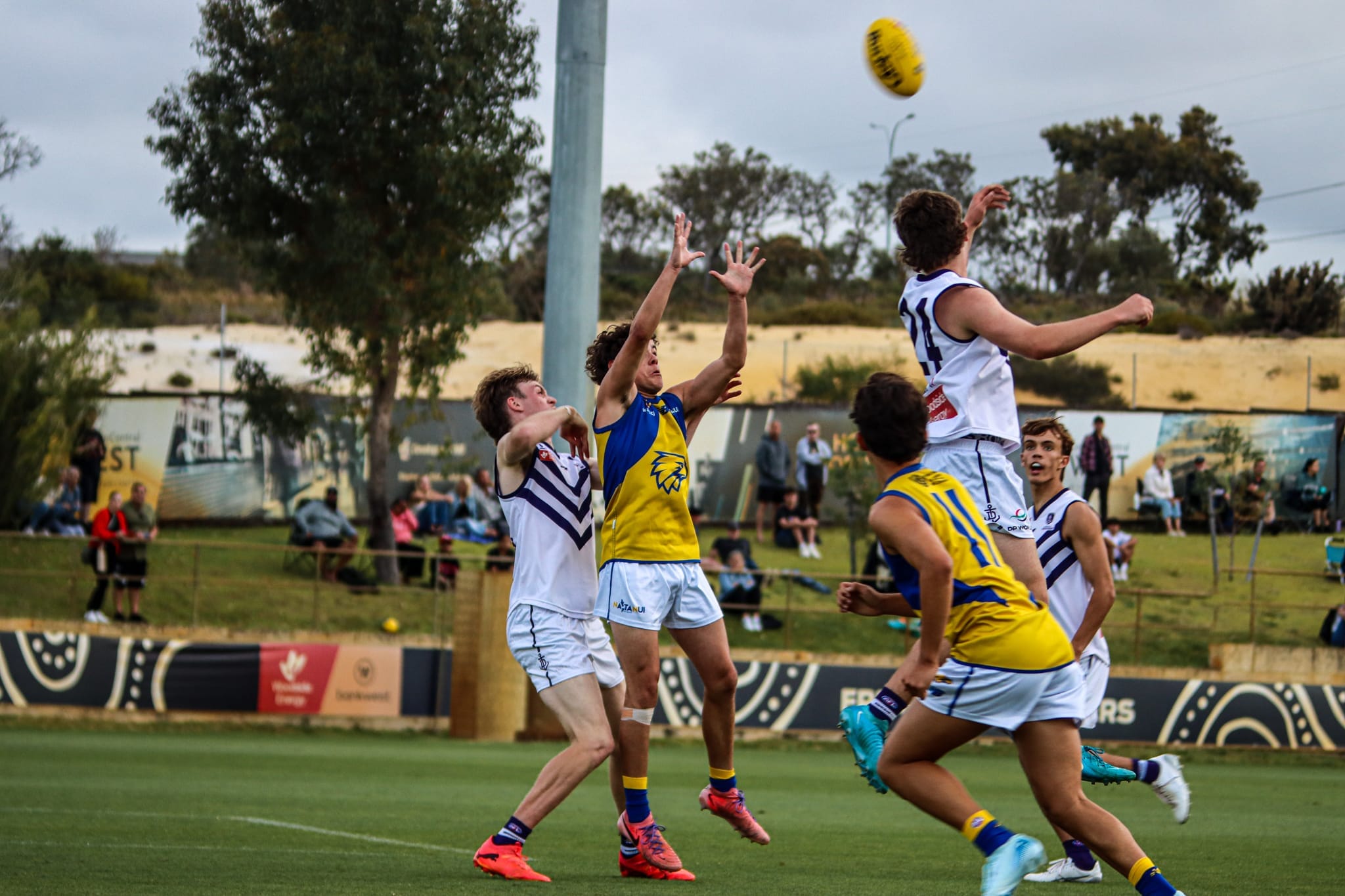 Eagles Academies: Couldn’t have had a better finish to the year