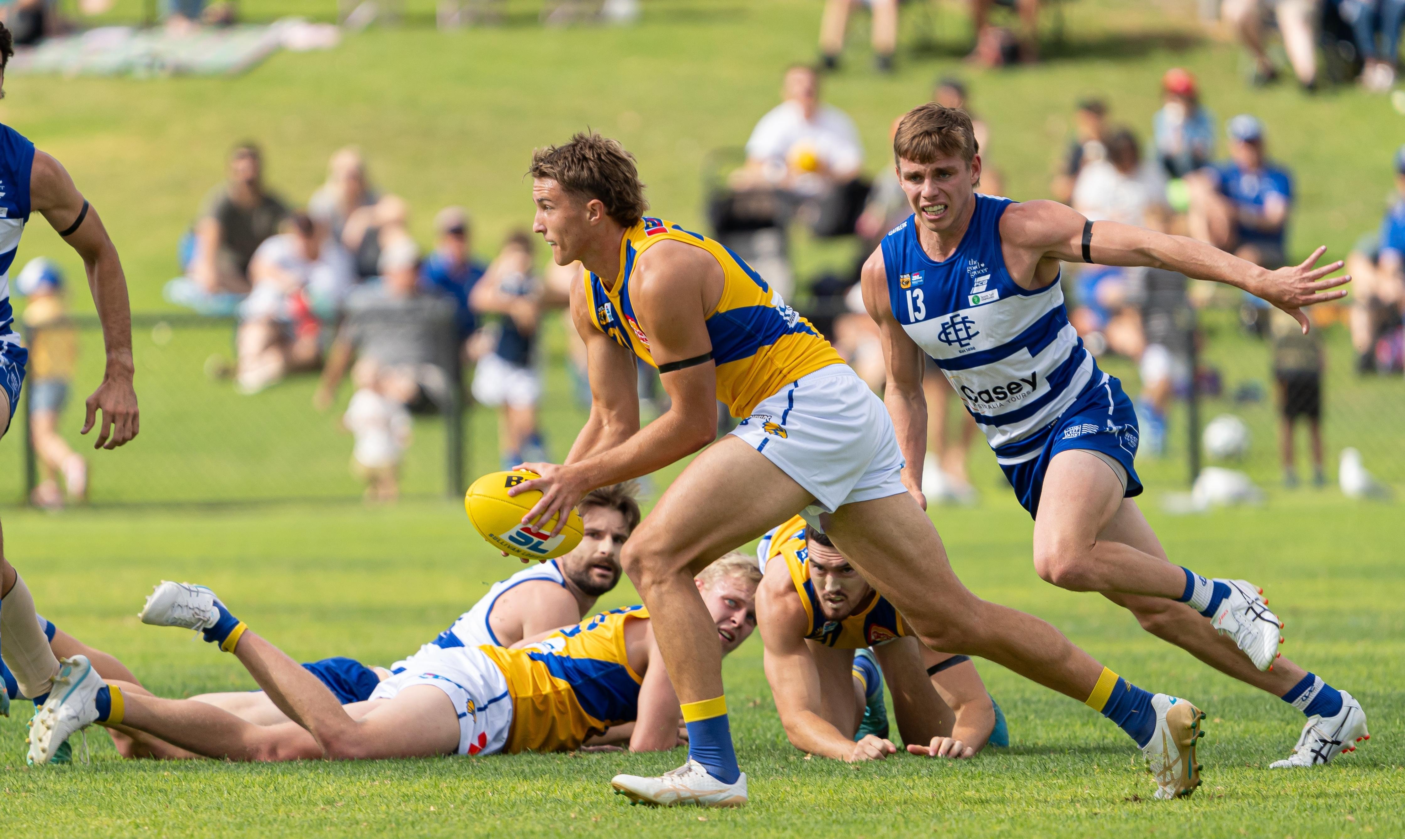 WAFL Match Report: Eagles fall short to the Sharks