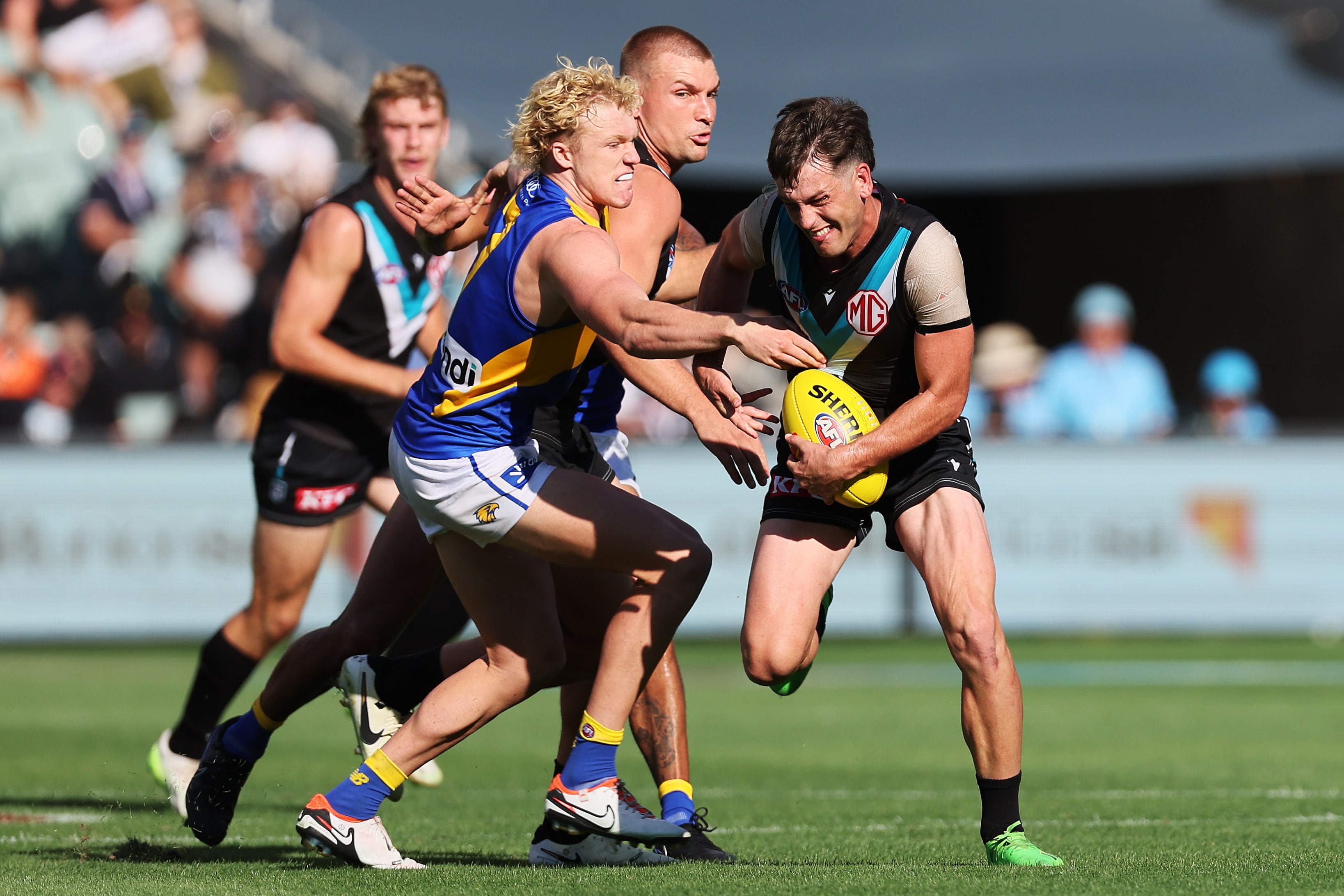 Match preview: Power v Eagles
