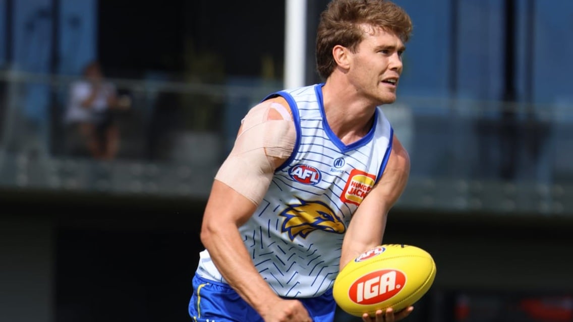 Robertson set for first run in blue and gold
