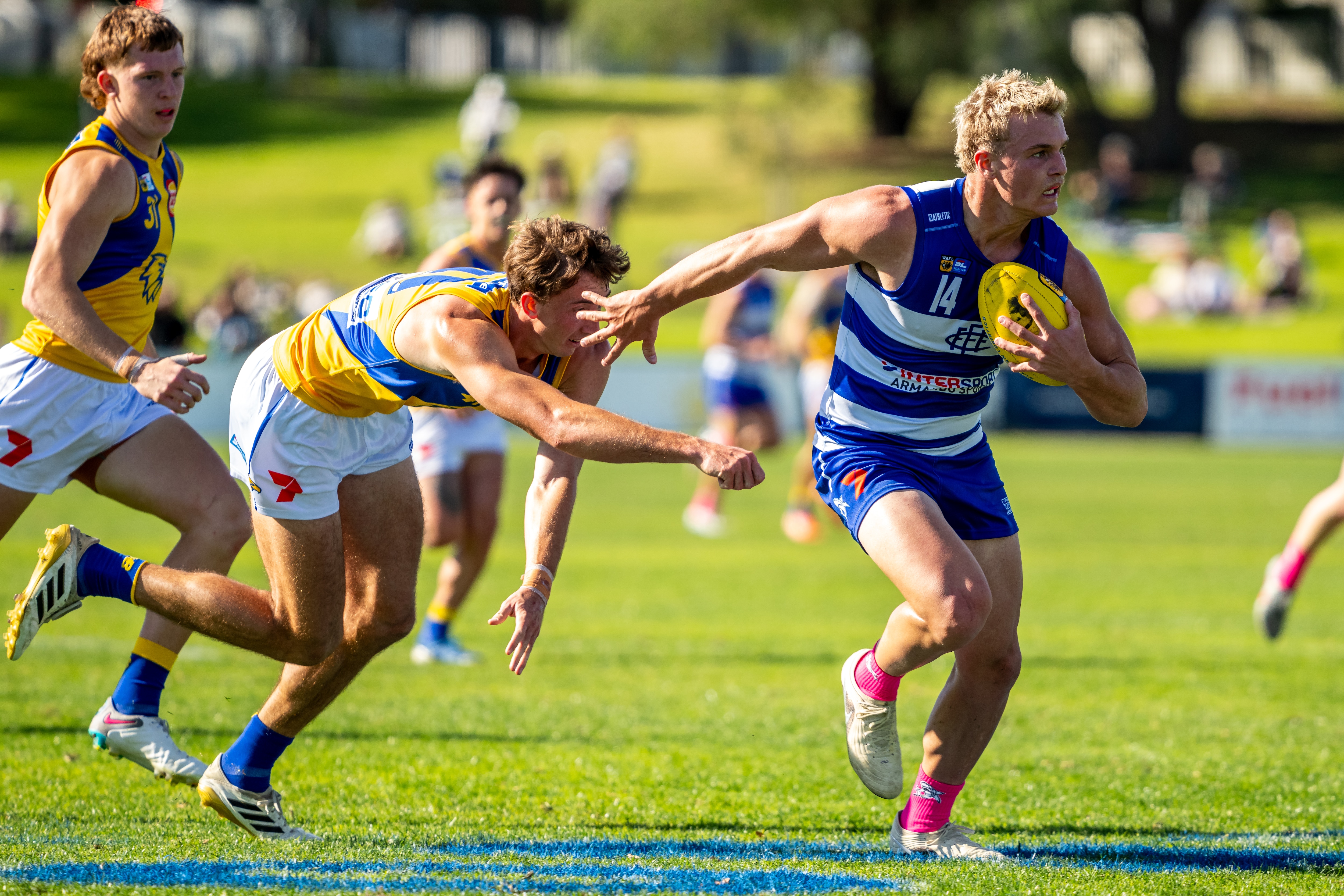 WAFL match report: Sharks finish strongly against Eagles