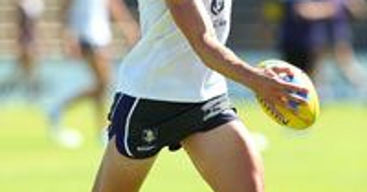 WA draft smokies strut their stuff at draft combine