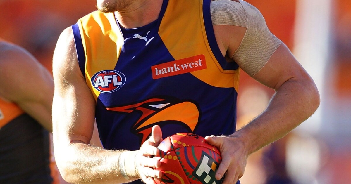 Shuey poised to return