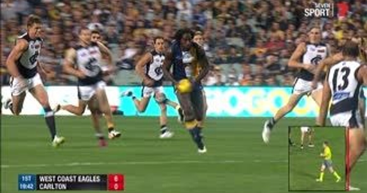 Nic Nat leads way