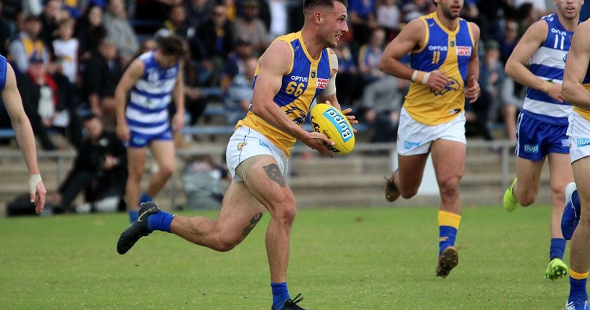 WAFL: Reid stars against Sharks
