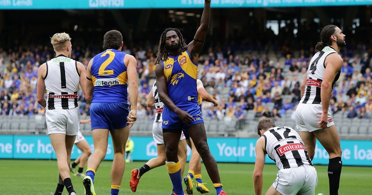 Nic Nat's 'most influential season so far': Gaff