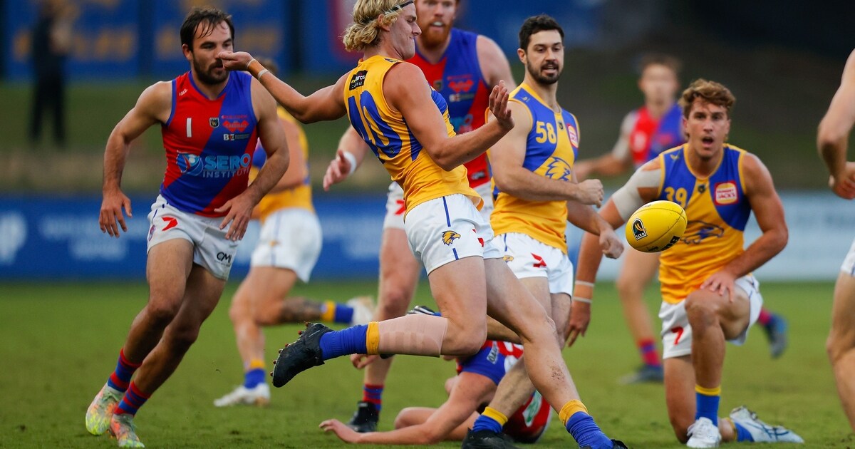 WAFL recap: round 14 review