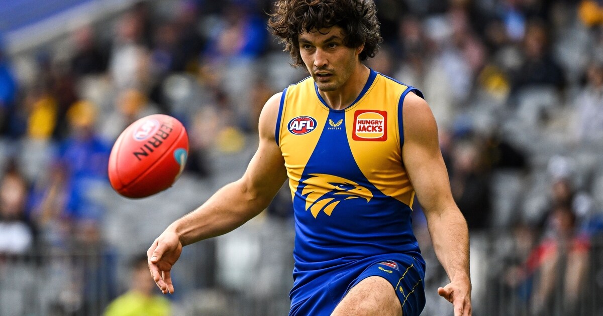 Barrass headlines Eagles' AFL Awards contenders