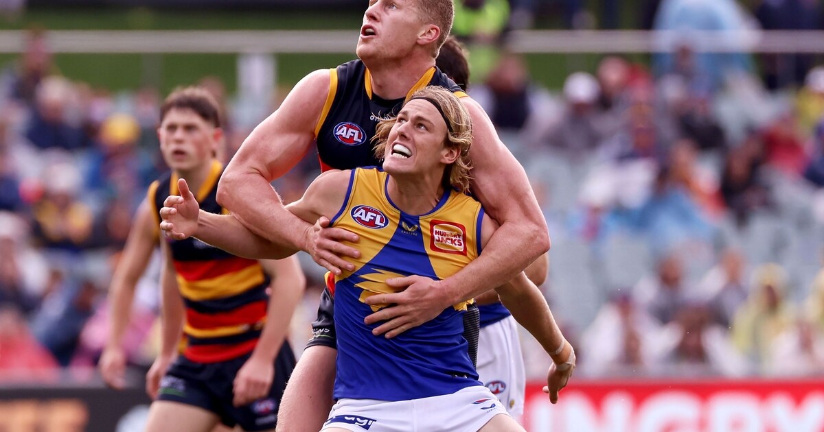 2022 season review: Callum Jamieson 2022 season review: Callum Jamieson