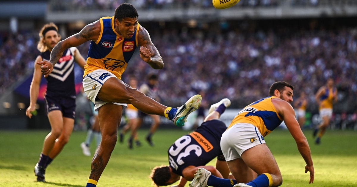 Best Eagle afield: Tim Kelly