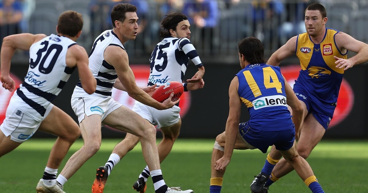 More to Cats than 'complete' Cameron: Simpson