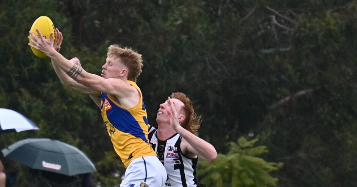 WAFL recap: round 8 review