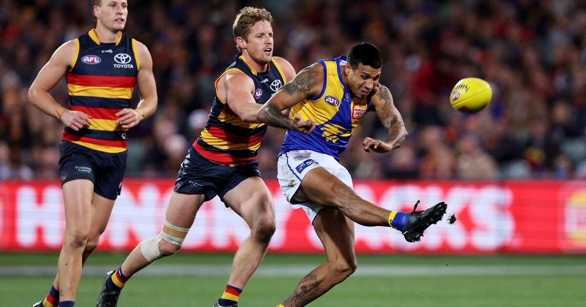 Match preview: Eagles v Adelaide