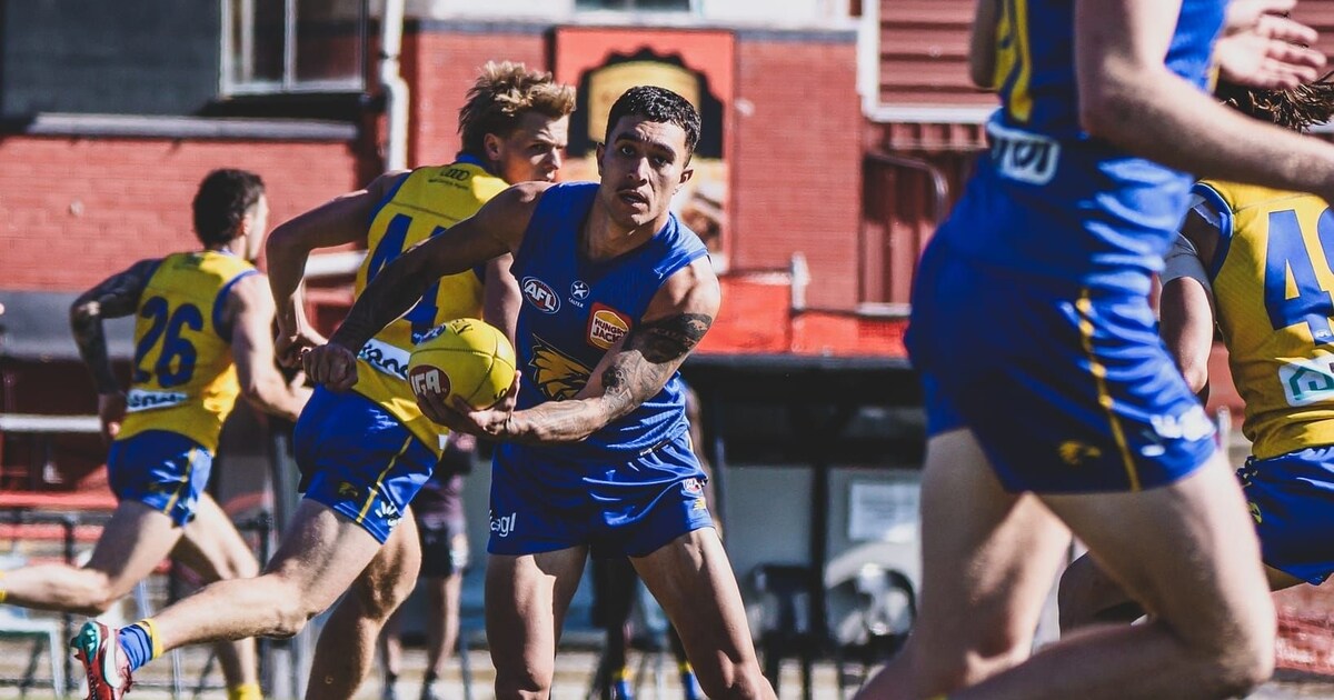 AFL Training Gallery: Thursday June 20