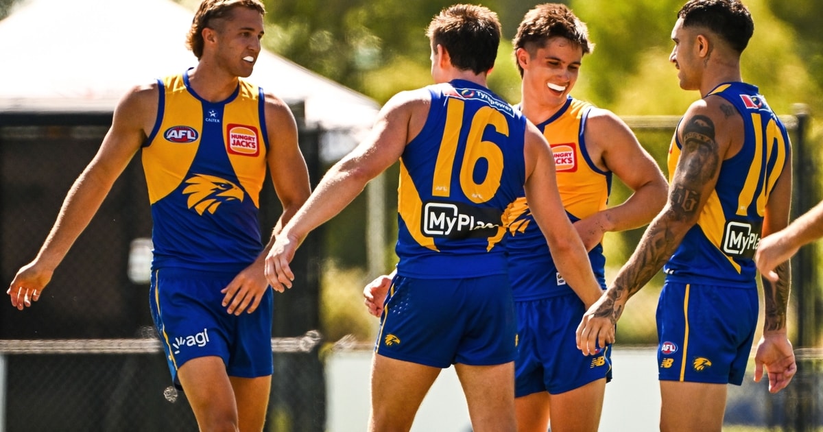 AFL 2025 Match Simulation - West Coast v Richmond