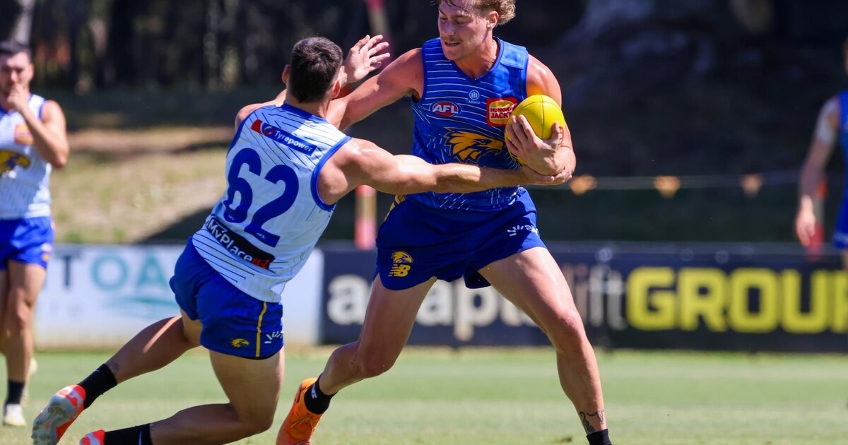 AFL Training Gallery: Friday 6 February
